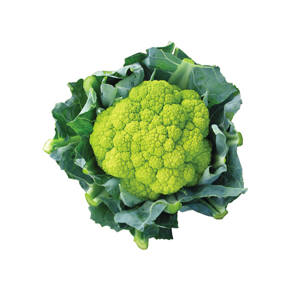 Cavolfiore verde di Macerata Emeraude F1 – Sala Laurus